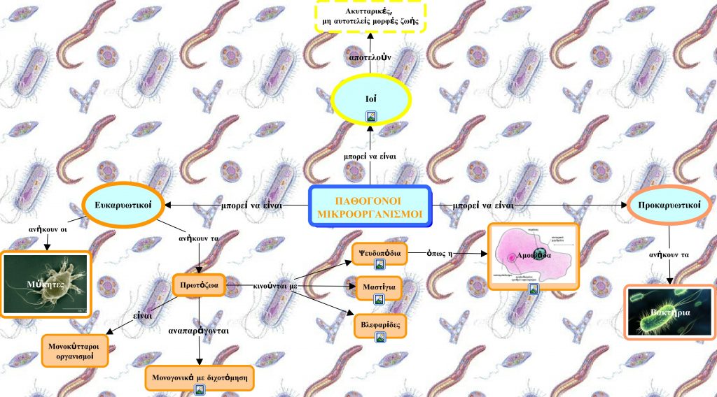 It's the biology, student!