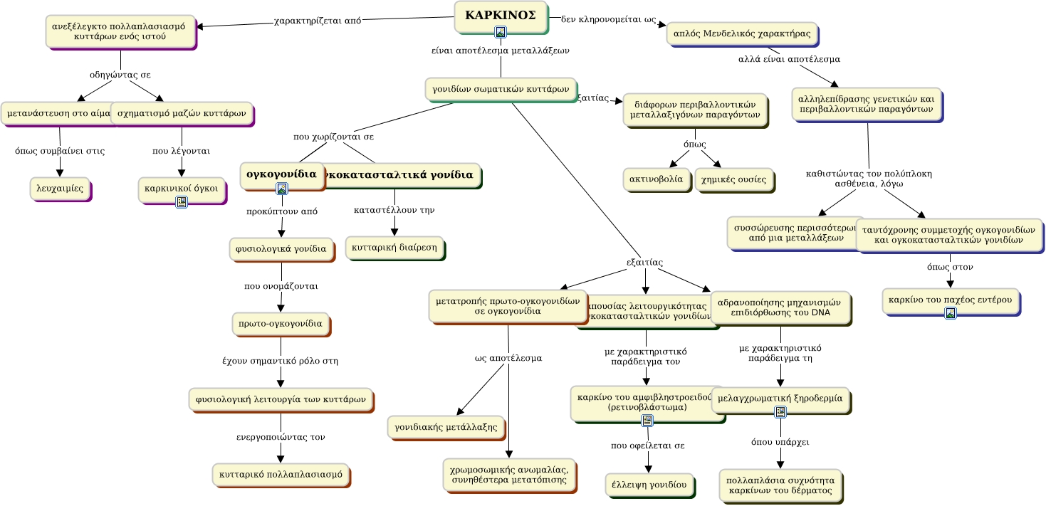 CmapTools και δυναμικοί εννοιολογικοί χάρτες – ΒΙΟΛΟΓΙΑ ΣΤΟ ΣΗΜΕΡΑ