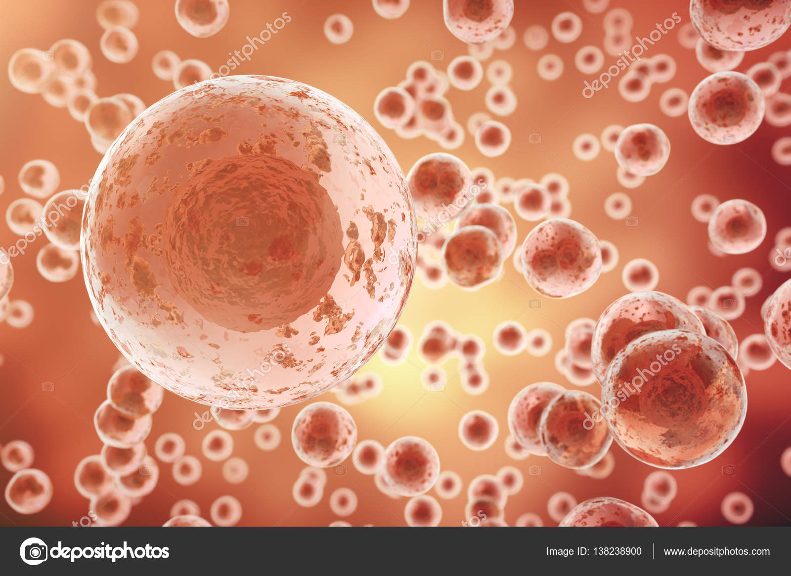 Κύτταρο | Biology